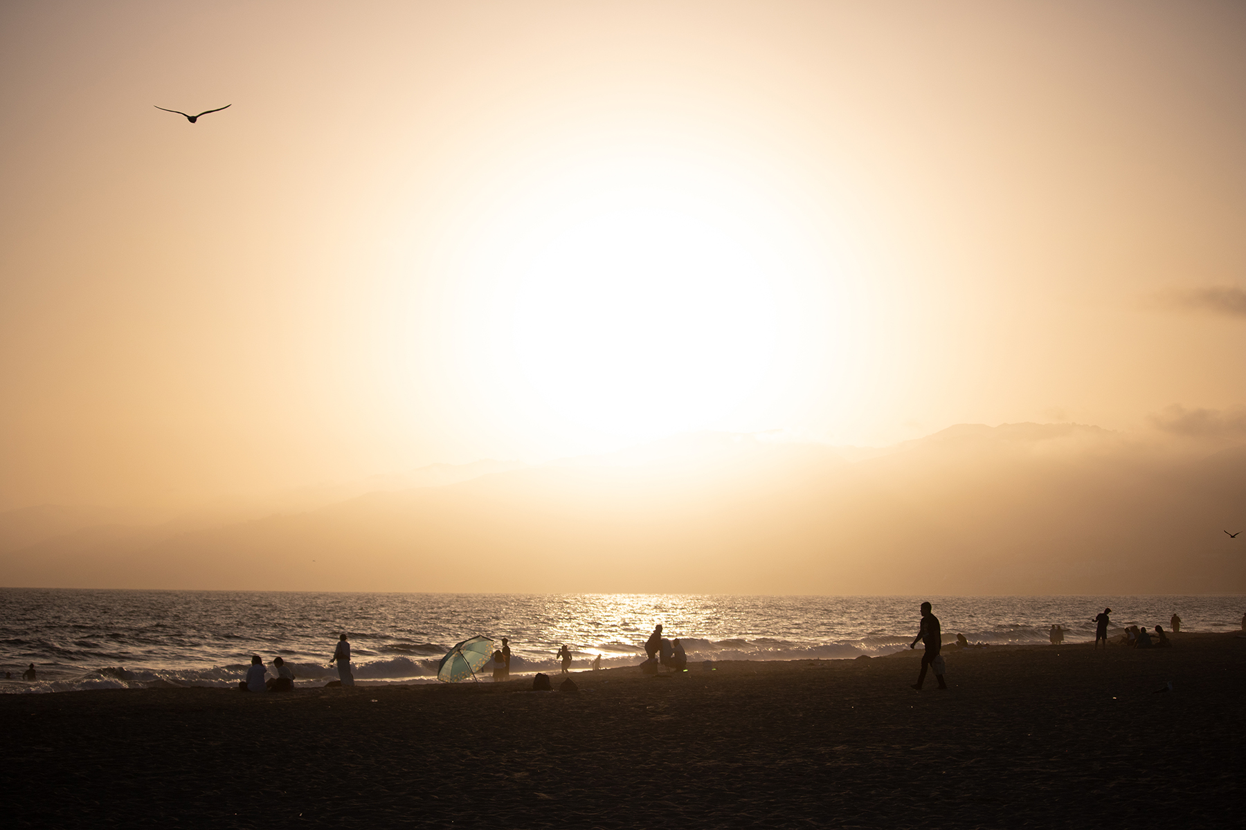 Travel Diary: Sunny California Summer Trip 2022 Recap - PYL Photography